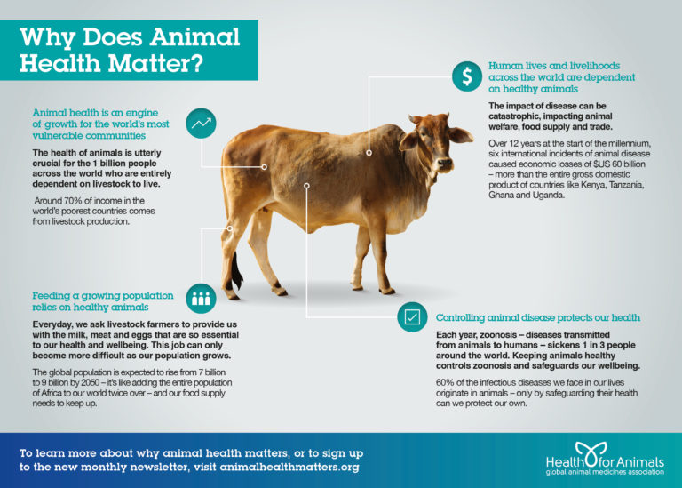Why Does Animal Health Matter? - HealthforAnimals