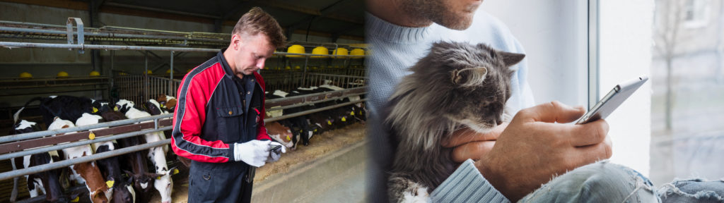 Digital Revolution in Animal Health - HealthforAnimals